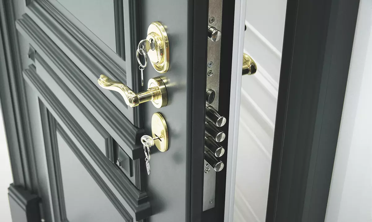 5 reasons to choose a metal door with thermal survey 15226_5