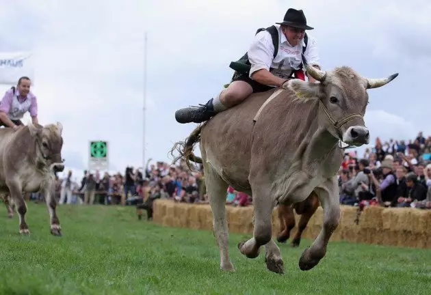 Sare pe tauri în Bavaria