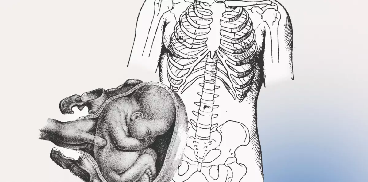 5 mea e leaga ai tagata ona o le evolusione ma le alualu i luma masani 19629_1