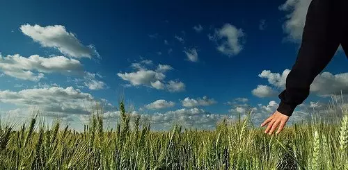 Добродійне життя: стриманість