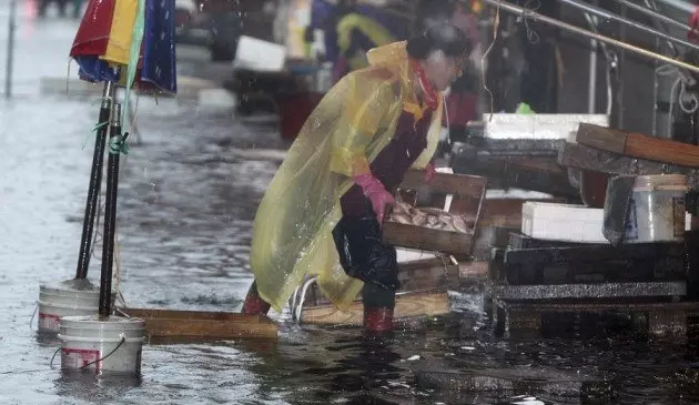 Typhoon Sanba दक्षिण कोरिया को कवर करता है 3224_8