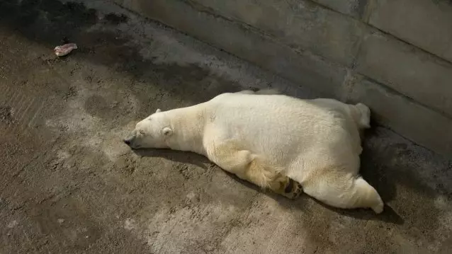 Dund в средата на деня ... бавно убива