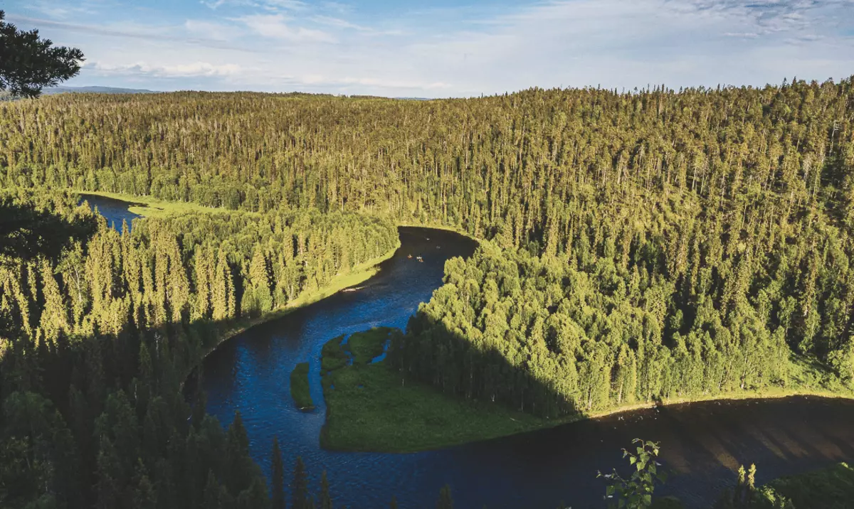 8 van de mooiste bossen van Europa, die moeten worden bezocht terwijl ze niet hebben afgesneden 580_14