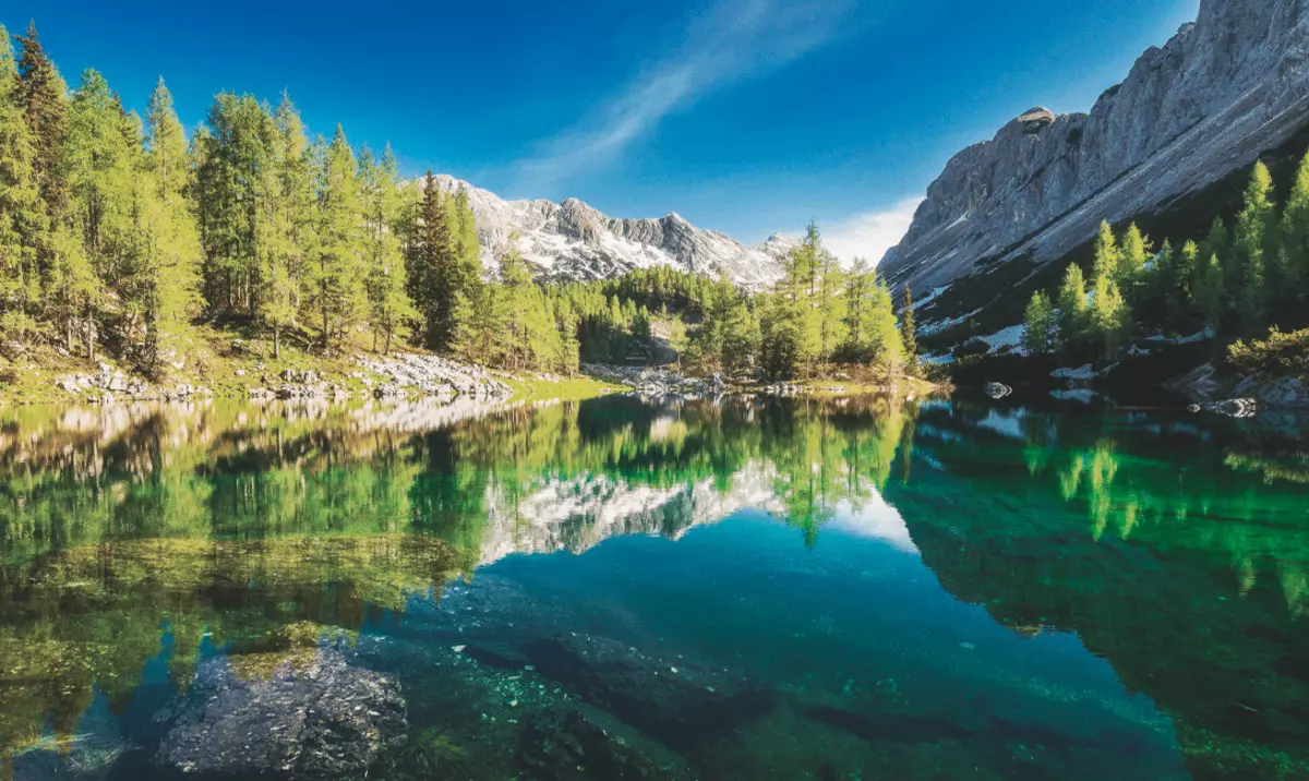 8 de los bosques más hermosos de Europa, que deben visitarse mientras no se redujeron. 580_15