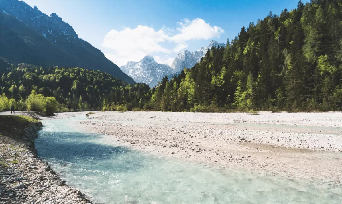 8 van de mooiste bossen van Europa, die moeten worden bezocht terwijl ze niet hebben afgesneden 580_16