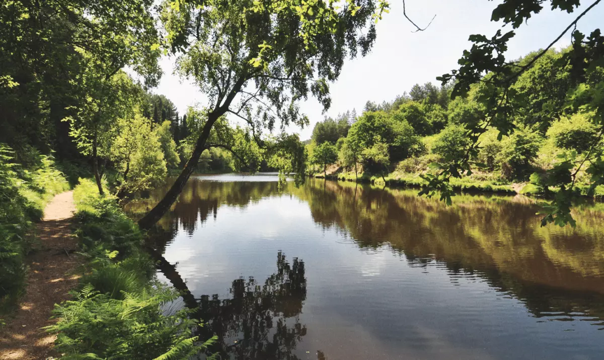 8 najpiękniejszych lasów Europy, które powinny być odwiedzane, gdy nie obniżyli 580_2