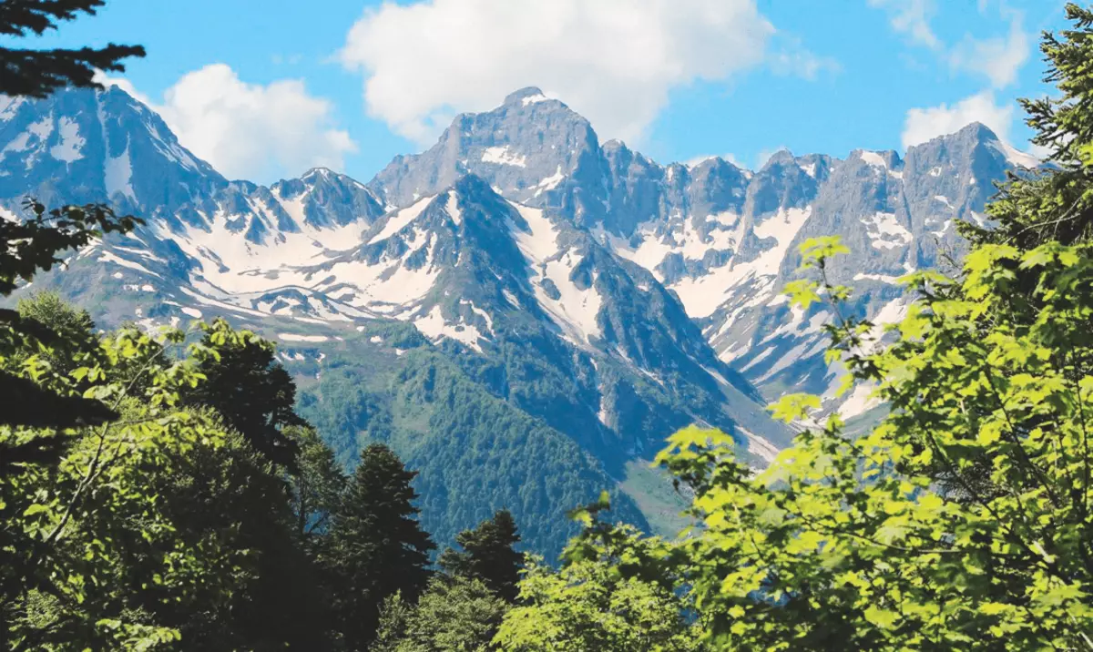 8 de los bosques más hermosos de Europa, que deben visitarse mientras no se redujeron. 580_5