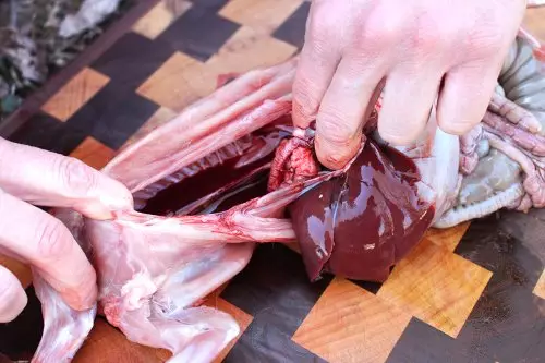 How to gut and butcher the rabbit 8543_18