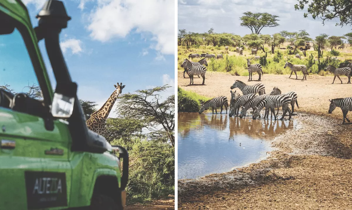 Safari ni Tanzania - ìrìn ti iwọ kii yoo gbagbe 8820_1