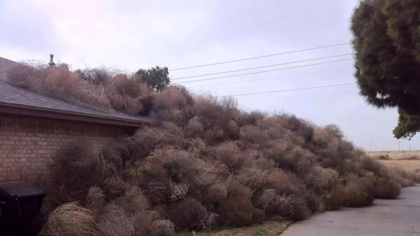 When the wind behaves like an asshole 9054_3